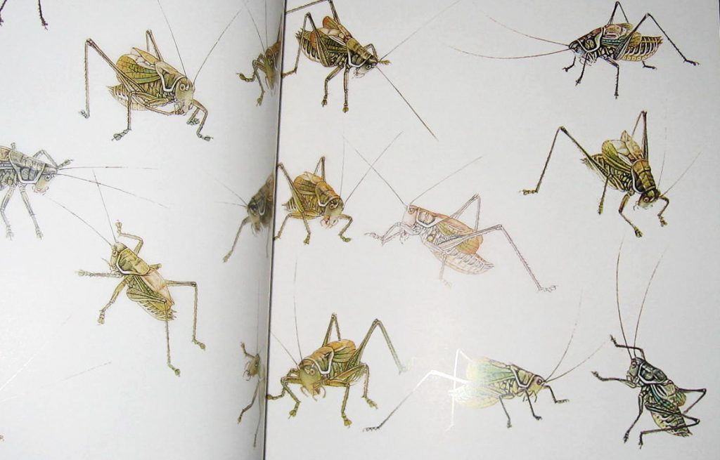 Book in GongBi style - Oriental Arts Brighton